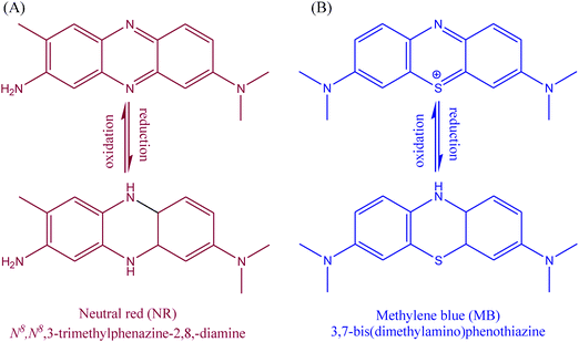 Neutral red; Toluylene Red