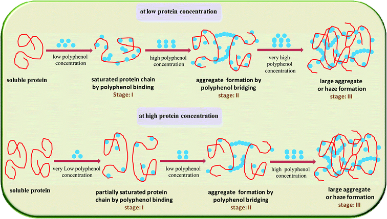 Salivary Proline-Rich Proteins
