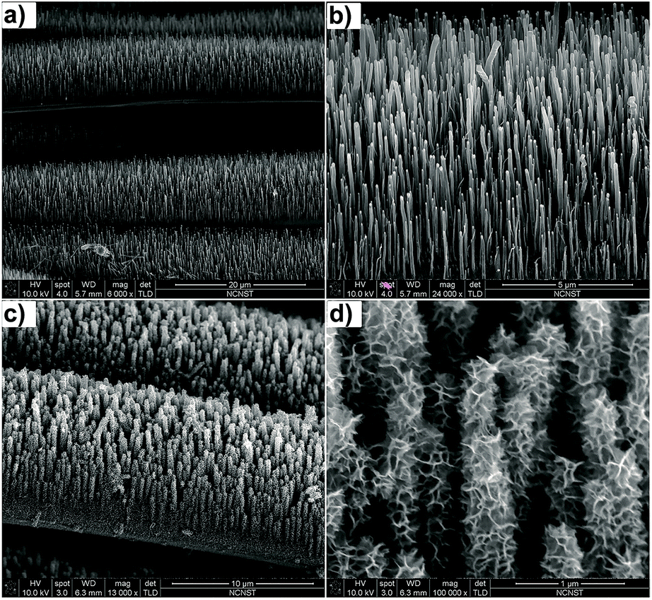 Vertically aligned carbon nanotube@MnO 2 nanosheet arrays grown on carbon cloth for high ...