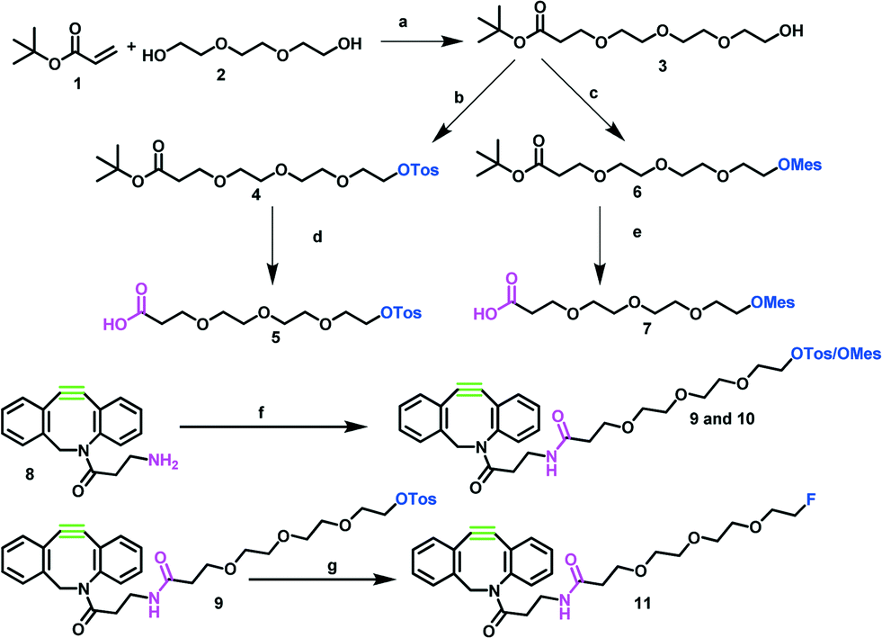 A 18 F Labeled Dibenzocyclooctyne Dbco Derivative For Copper Free Click Labeling Of