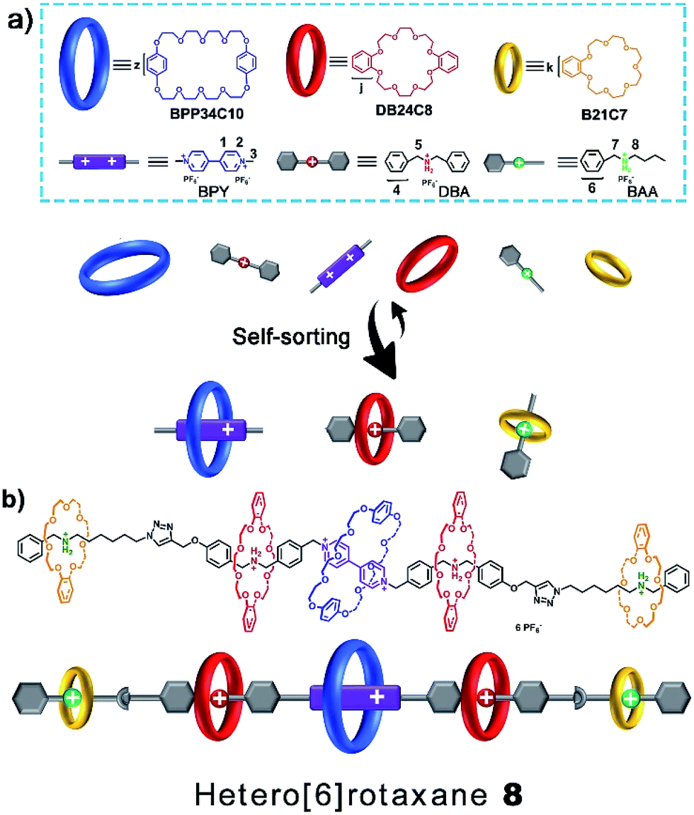 One pot Synthesis Of Hetero 6 rotaxane Bearing Three Different Kinds Of 