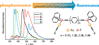 Synthesis, characterization and photophysical properties of PPh2–C2 ...