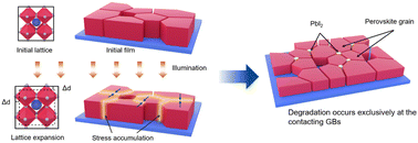 Photomechanically accelerated degradation of perovskite solar cells ...