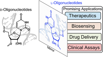 The clinical potential of l-oligonucleotides: challenges and ...