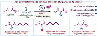 Iron photocatalysis towards site-selective C(sp3)–H alkylation of ...