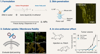 Biocompatible ionic liquid-based nanoparticles for effective skin ...