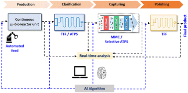 Toward microfluidic continuous-flow and intelligent downstream processing of biopharmaceuticals ...