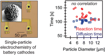 Direct measurements of size-independent lithium diffusion and reaction ...