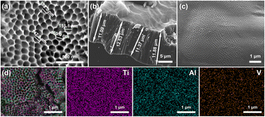 In situ synthesis of an Al and V co-doped TiO2 NTA interlayer-enhanced ...