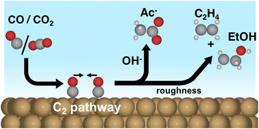 The mechanism for acetate formation in electrochemical CO(2) reduction ...