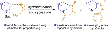 Modular synthesis of bicyclic twisted amides and anilines - Chemical ...