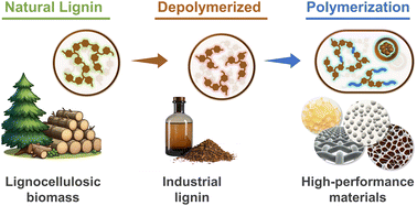 Lignin polymerization: towards high-performance materials - Chemical ...