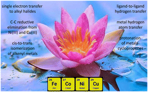 New reactivity of late 3d transition metal complexes in catalytic ...