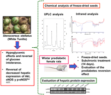 Chemical analysis of freeze-dried seeds of Stenocereus stellatus (white ...