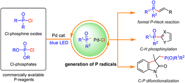 A general platform for phosphorylation reactions enabled by ...