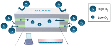 Characterization of the oxygen properties of a hybrid glass chip ...