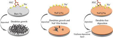 Insight into the interfacial reaction mechanism of FEC and NaF on Na ...