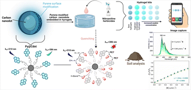 A pyrene-modified carbon nanodot as a fluorescence nanosensor for ...