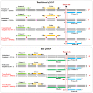 A novel blocker displacement qMSP assay for DNA methylation analysis at ...