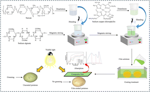 Photodynamic regulation of potato greening: sodium copper chlorophyllin ...
