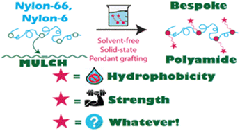 Bespoke polyamides via post-polymerization modification using ...