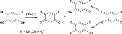 The oxidation of 6-hydroxydopamine in aqueous solution. Part 3.12 ...