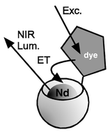 Fluorescent dyes as efficient photosensitizers for near-infrared Nd3 ...