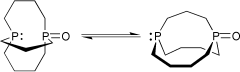 Bridgehead phosphorus chemistry: in–out inversion, intrabridgehead P ⋯ ...