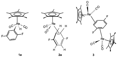 The reaction of the unsaturated rhenium fragment {Re(η5-C5Me5)(CO)2 ...