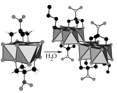 Mechanistic aspects of the hydrolysis and condensation of titanium ...