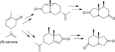 Chiral synthons from carvone. Part 50. Enantiospecific approaches to ...
