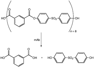 Reactive immunization elicits catalytic antibodies for polyester ...