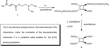 [2+2]Photocycloaddition of 2-(dibenzylamino)ethyl 3-benzoylacrylate in ...