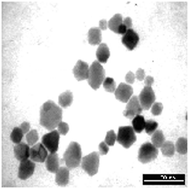 Morphology and crystalline structure of polymer stabilized Pd ...