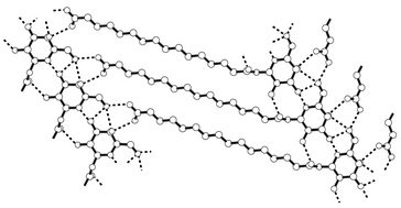 Multilayer structure of an unsymmetrical monolayer lipid membrane with ...