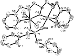Crystal structure, solution properties and hydrolytic activity of an ...