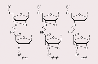 Oligodeoxynucleotides containing amide-linked LNA-type dinucleotides ...