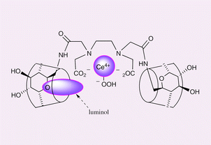 The first successful investigation into a cyclodextrin-based enzyme ...