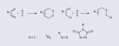 Diels–Alder and ene reactions of singlet oxygen, nitroso compounds and ...