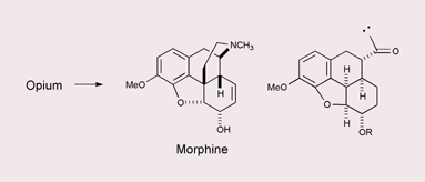Morphine, the Proteus of organic molecules - Chemical Communications ...