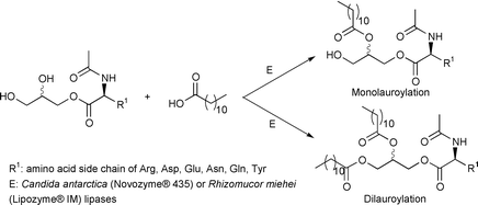 Synthesis of glycero amino acid-based surfactants. Part 2.1 Lipase ...