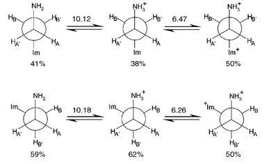 Concentration and basicity of histamine rotamers - Journal of the ...