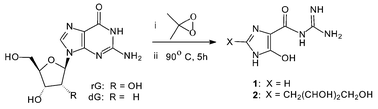 Novel oxidation products from guanine nucleosides reacted with ...