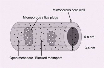 Plugged hexagonal templated silica: a unique micro- and mesoporous ...