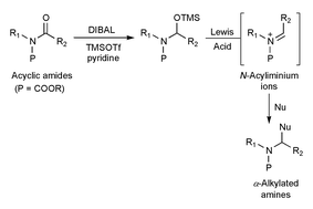 The versatile conversion of acyclic amides to α-alkylated amines ...