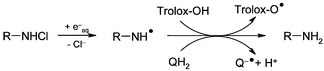 Absolute rate constants for the formation of nitrogen-centred radicals ...