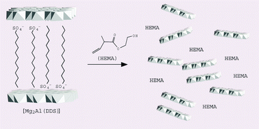 Delamination of layered double hydroxides in polar monomers: new LDH ...