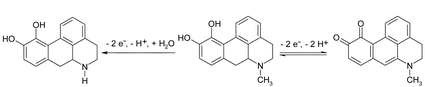 New insights into the oxidation pathways of apomorphine - Journal of ...
