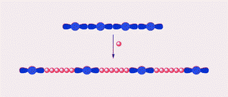 Controlled monomer insertion into polymer main chain: synthesis of ...