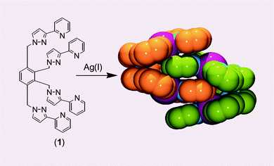 A self-complementary molecular cleft - Chemical Communications (RSC ...